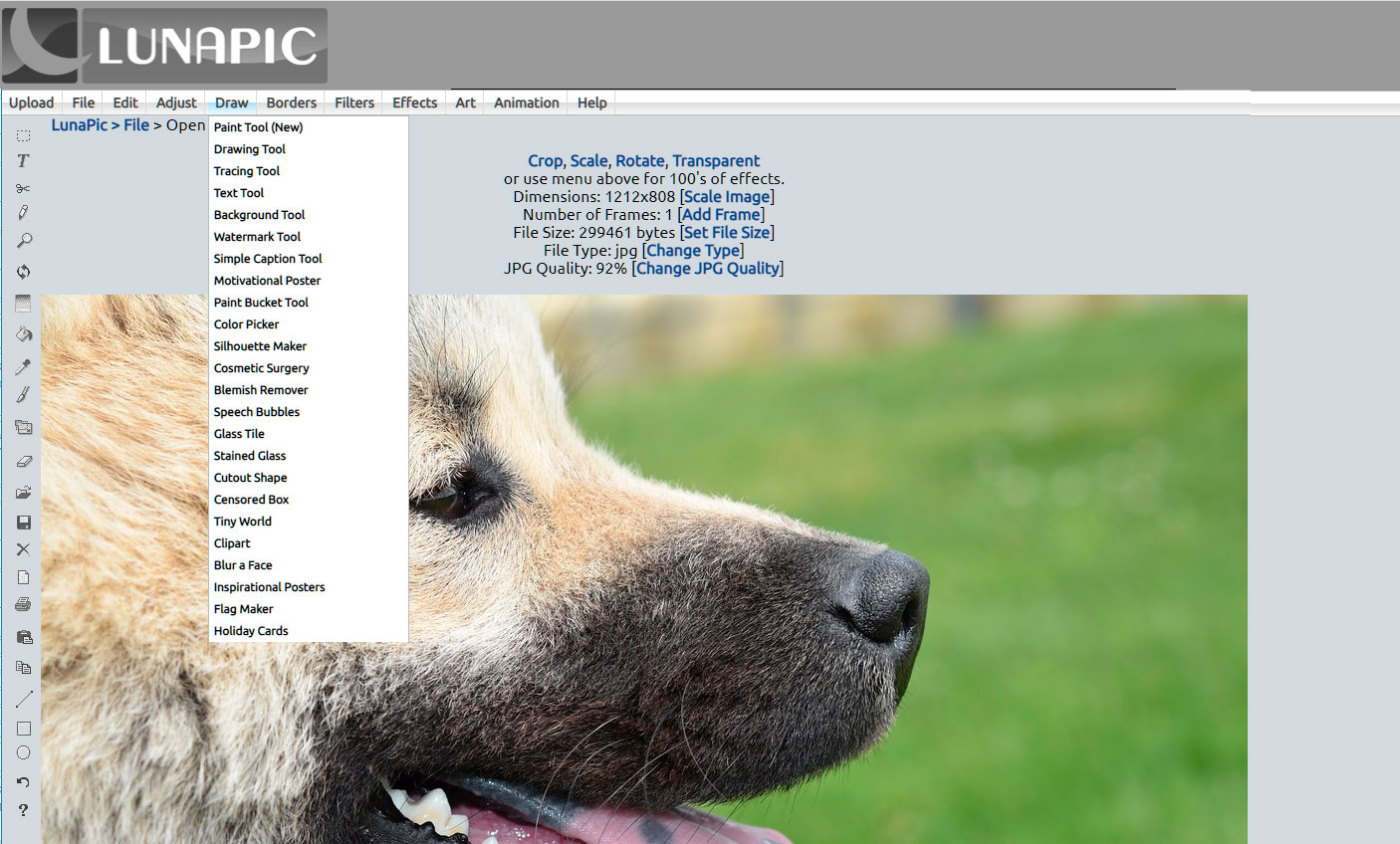 Ứng dụng Tạo Hình Bóng Đen Trắng | Miễn phí Tải về